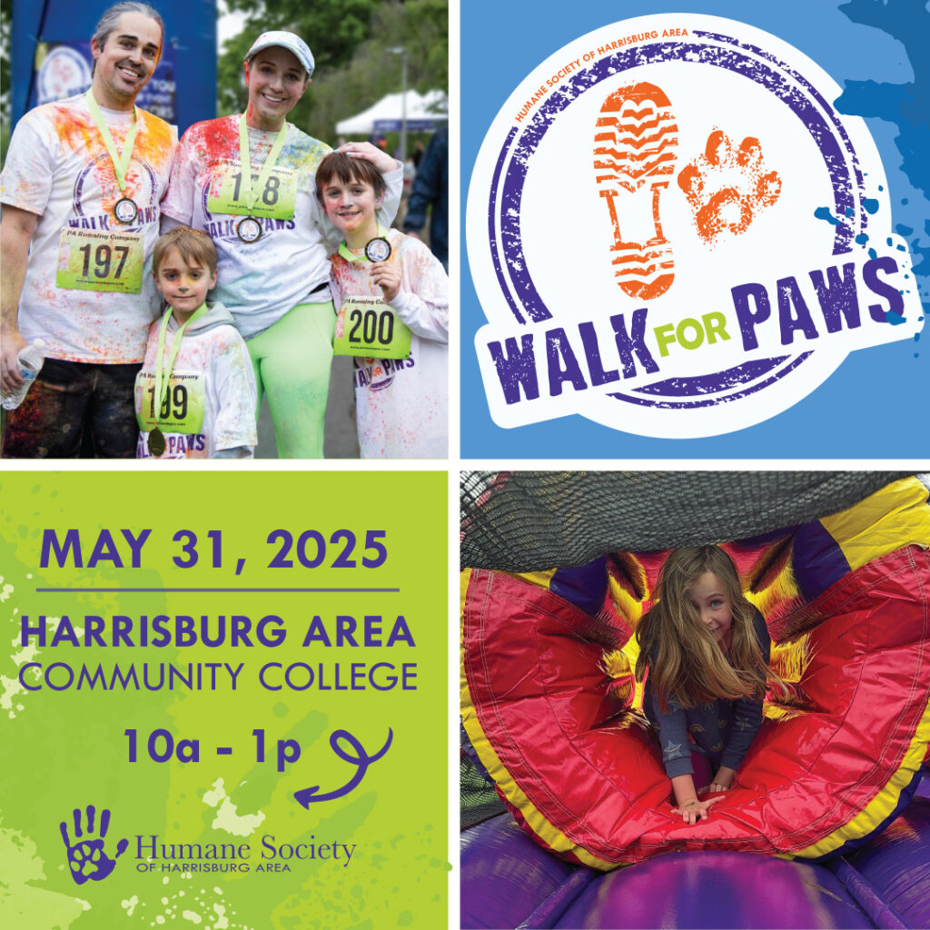 Walk for PAWS - May 31, 2025 - Borough of Middletown, PA
